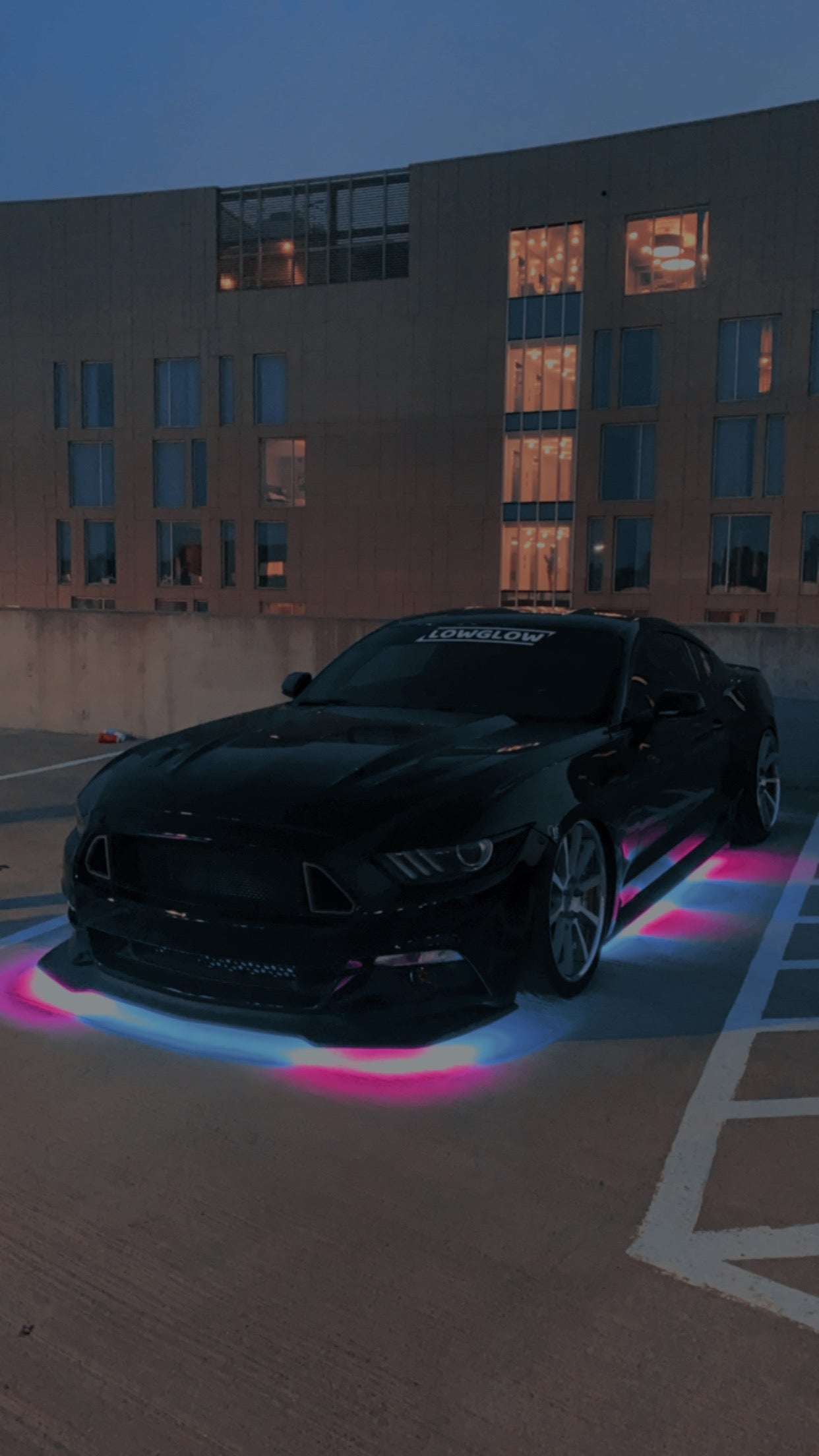 Interior & Underglow! – Forged LEDs